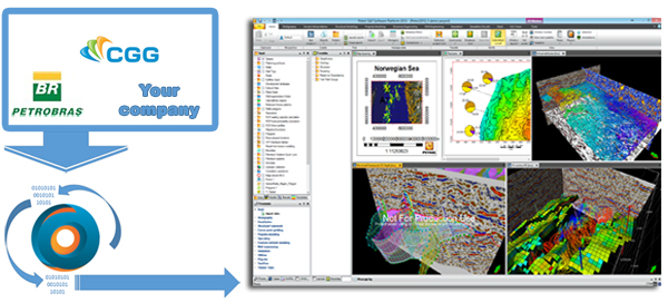 DeepSoft - Petrel Plugins